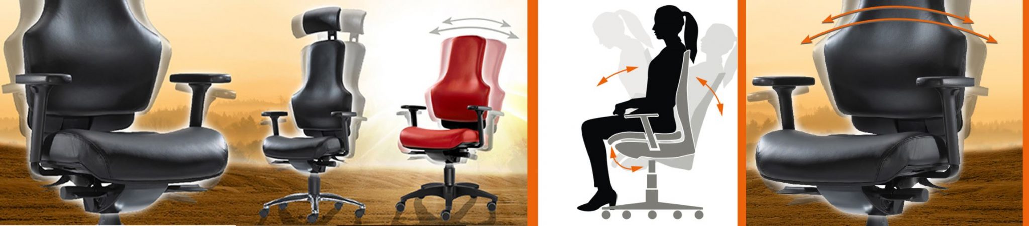 SITWELL® STEIFENSAND AG ergonomic office chairs